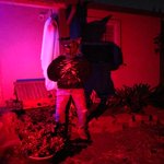 Life-Size Halloween Stuffed Dummy with Lifelike Hands, 6 Ft Tall ...