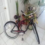 Zebco Dock Demon Spincast Combo - Walmart.com