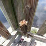 Zebco Dock Demon Spincast Combo - Walmart.com